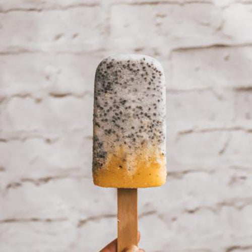 Coconut Chia Mango Ice Blocks – GoodFor