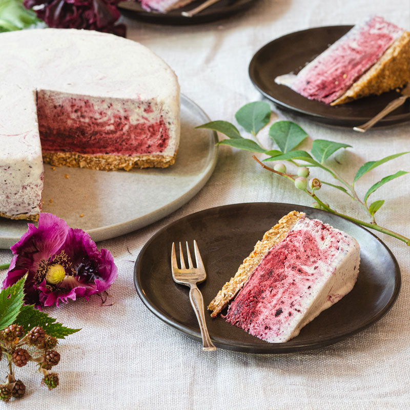 Berry & Frozen Yoghurt Ice Cream Cake by Nicola Galloway – GoodFor