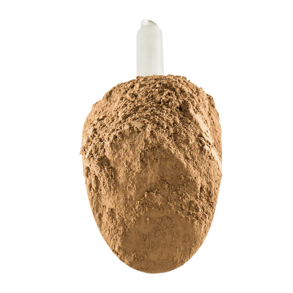 Buy Organic Raw Cacao Powder From GoodFor Online In NZ